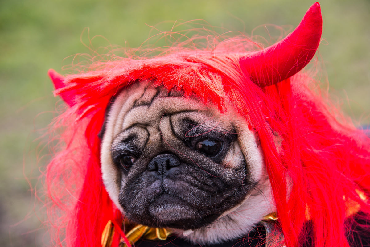 Story Skeleton—The Hound of the Baskervilles – The Darling Axe